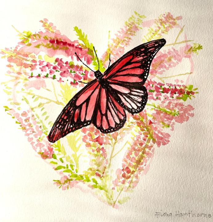 Fiona Hawthorne, Artist | Powered by Givergy